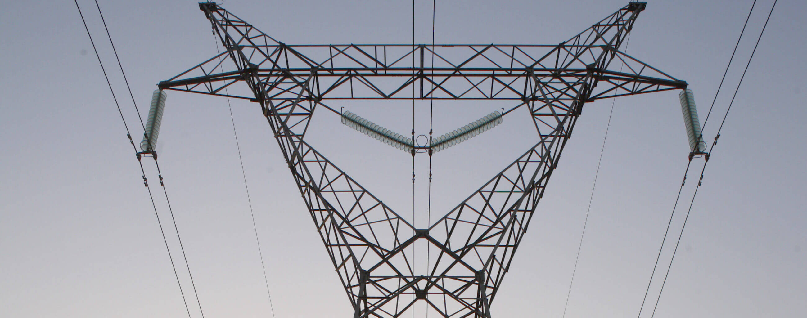 Accueil | OMVG Organisation pour la mise en valeur du fleuve Gambie